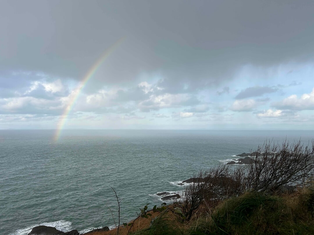 Things to Do in Ilfracombe in the Rain : Indoor Activities to Keep You ...